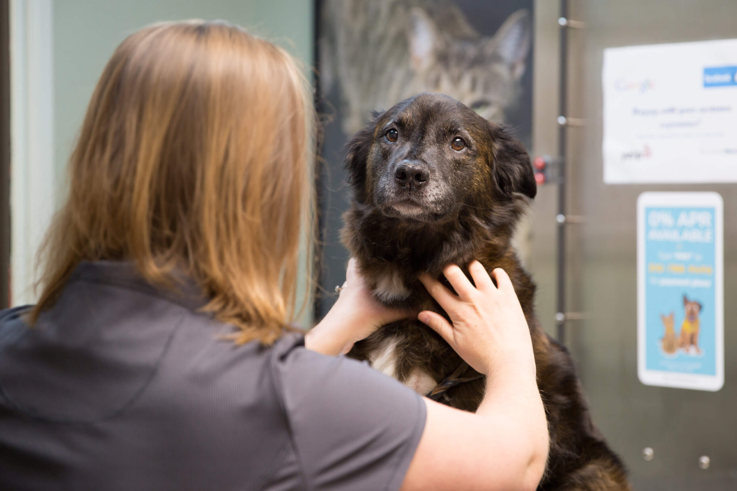 Healthy Pet Wellness Center - The Pet Wellness Center